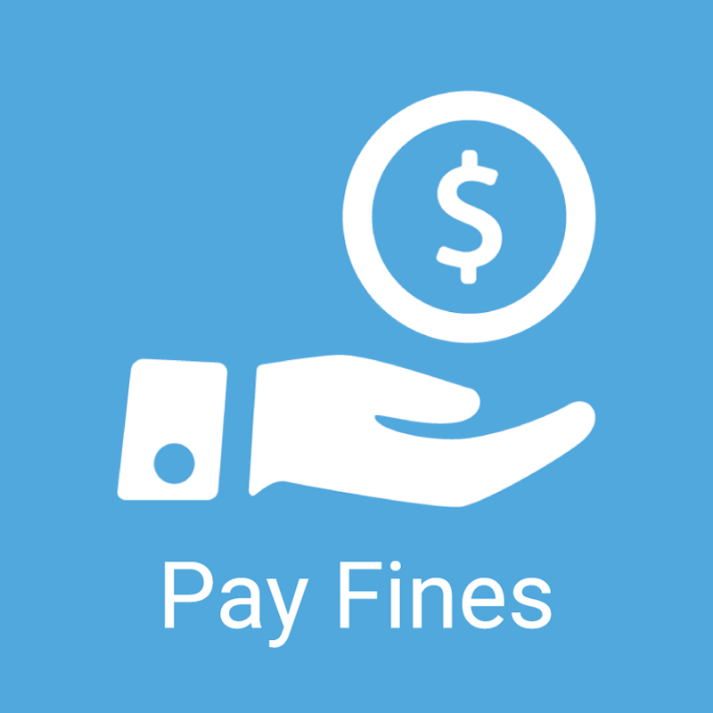 Plot Renewals & Fines